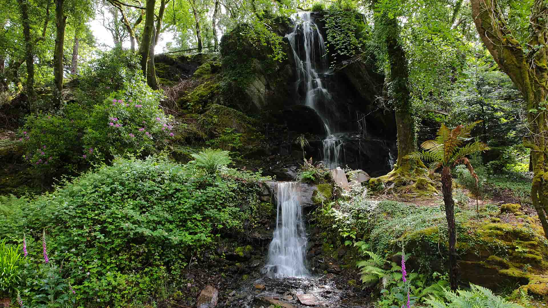 Kells Bay House and Gardens : Travel Guide & Map : Nordic Visitor